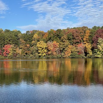 LAKE LYNN PARK - Updated August 2025 - 150 Photos & 46 Reviews - 7921 ...