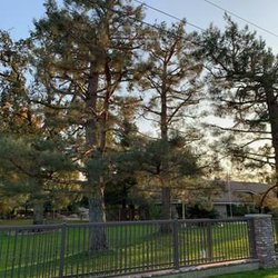 MARIO’S TREE SERVICES - 46 Photos - Bakersfield, CA - Yelp