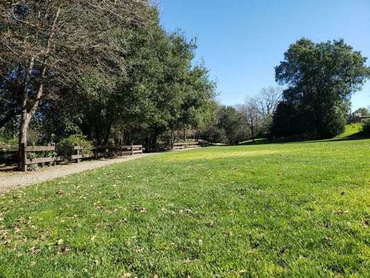 CIVIC PARK - 111 Photos & 48 Reviews - 1301 Civic Dr, Walnut Creek ...