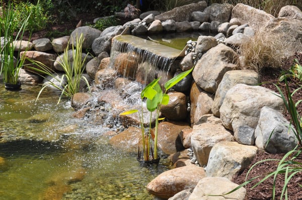 LANDSCAPE SOLUTIONS - Updated June 2025 - 33 Photos - 220 Delaware Ave ...