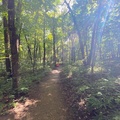 NERSTRAND BIG WOODS STATE PARK with 64 real customer photos - Updated ...