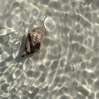 TIGERTAIL BEACH - Updated September 2025 - 408 Photos & 127 Reviews ...