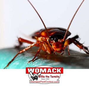 FRONTLINE PEST CONTROL - Updated November 2025 - 14 Photos & 83 Reviews ...