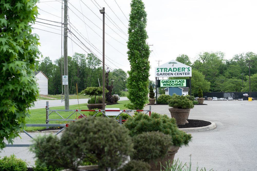 STRADER’S GARDEN CENTERS - Updated June 2024 - 17 Photos & 21 Reviews ...