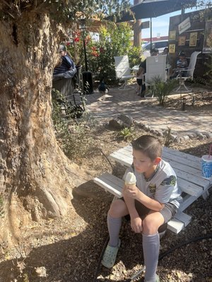 THE LEMON GROVE - Updated October 2025 - 45 Photos & 30 Reviews - 4200 ...