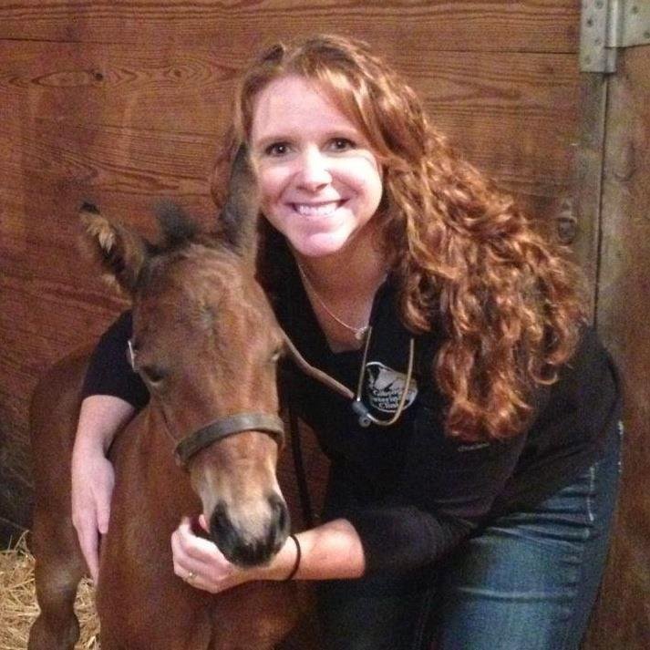 GIBSON VETERINARY CLINIC - Updated October 2025 - 1010 W 8th St, Gibson ...