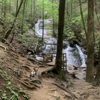 FALL BRANCH FALLS - Updated December 2024 - 73 Photos & 34 Reviews ...