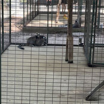 GATORS & FRIENDS - Updated December 2025 - 207 Photos & 60 Reviews ...