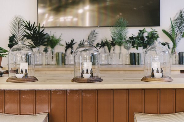 THE BOTANIST WORCESTER - Updated November 2025 - 18 Photos & 10 Reviews ...