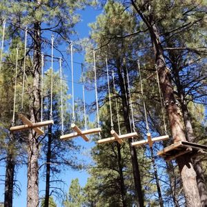 Flagstaff Extreme Adventure Course - 249 Photos & 271 Reviews ...