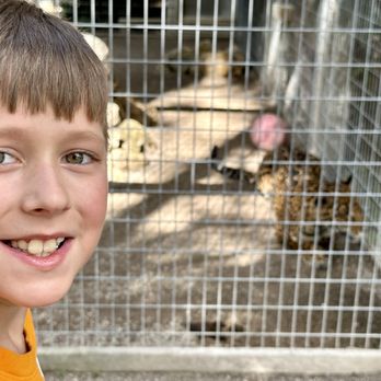 MCCARTHY’S WILDLIFE SANCTUARY - Updated December 2025 - 411 Photos ...