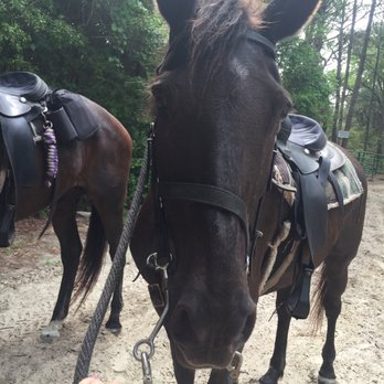 INLET POINT PLANTATION - Updated August 2025 - 29 Photos & 38 Reviews ...