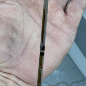 GATOR CHRYSLER DODGE JEEP RAM - Updated January 2026 - 15 Photos & 141 ...