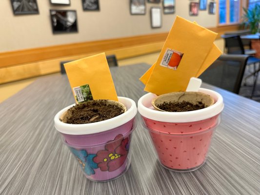 NORTH BEND LIBRARY - Updated October 2025 - 76 Photos - 115 E 4th St ...