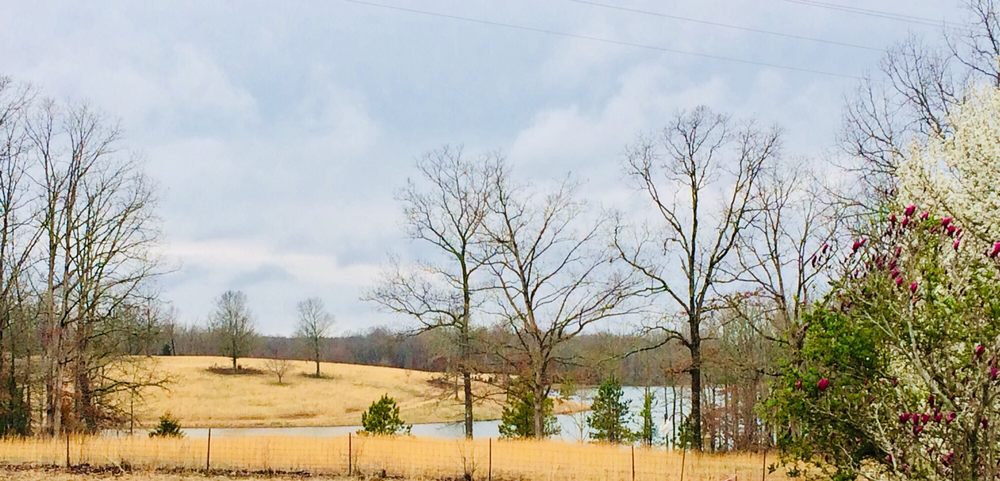 WILLOW RIDGE GOLF COURSE - Updated February 2025 - 11 Photos - 2065 ...