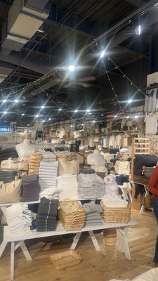 BRANDY MELVILLE - Updated September 2024 - 21 Reviews - 7135 E ...