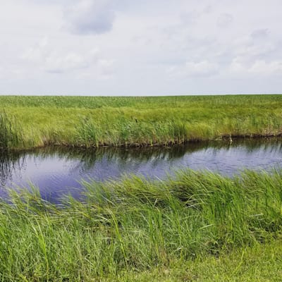 SABINE NATIONAL WILDLIFE REFUGE - Updated May 2026 - 13 Photos - 3000 ...