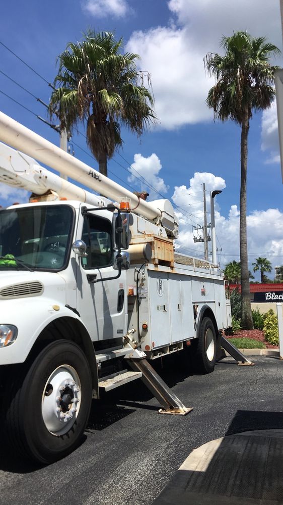 DALY TREE SERVICE - Updated August 2025 - 17 Photos - 1045 Old ...