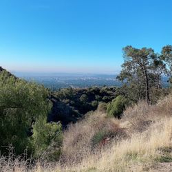 COBB ESTATE - 86 Photos & 14 Reviews - Landmarks & Historical Buildings ...