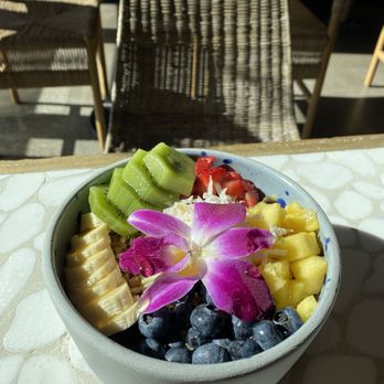 LITTLE AVALON - Updated November 2024 - 84 Photos & 42 Reviews - 7355 ...