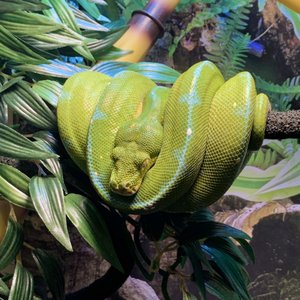 ZOO CREATURES PET STORE - 55 Photos & 46 Reviews - Pet Stores - 149 ...