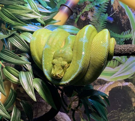 ZOO CREATURES PET STORE - 56 Photos & 55 Reviews - 149 Plaistow Rd ...