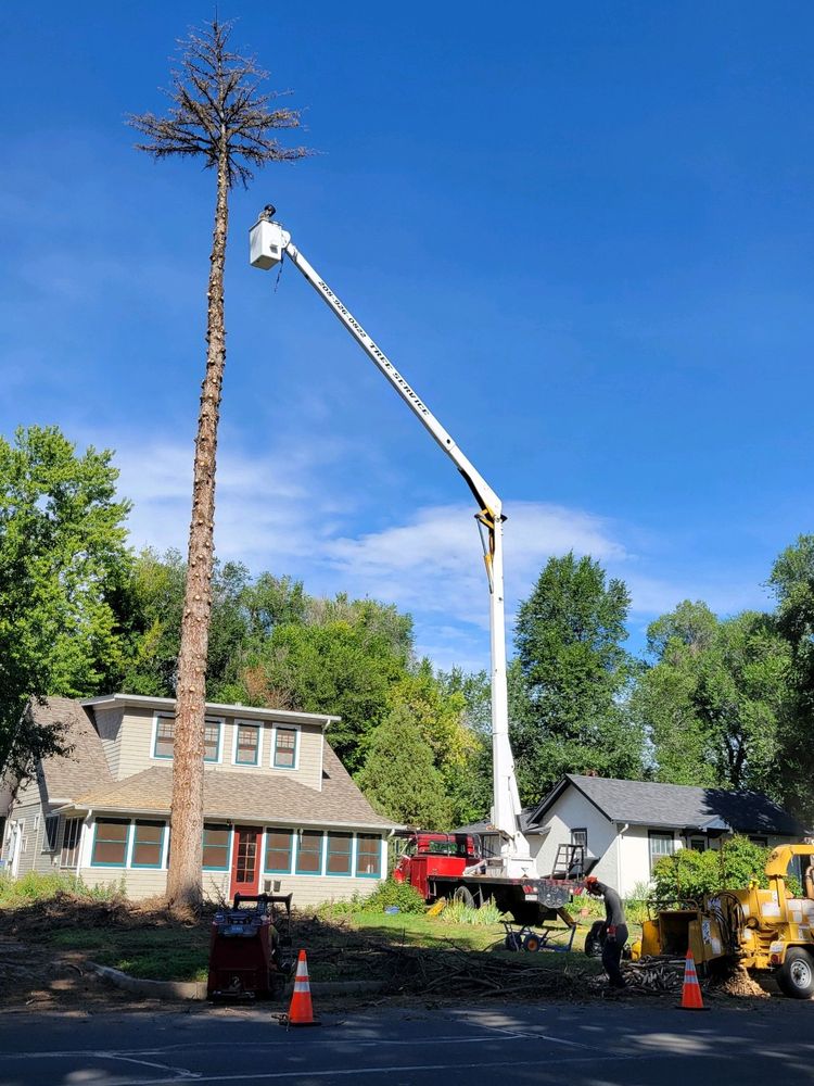 IRON SPRUCE TREE CARE - Updated December 2025 - 2204 Purdue Rd, Fort ...