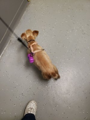 PHILADELPHIA ANIMAL HOSPITAL - Updated June 2026 - 15 Photos & 101 ...