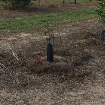 RIDGE ISLAND GROVES - Updated March 2025 - 165 Photos & 30 Reviews ...