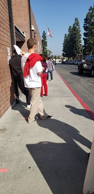 DEPARTMENT OF MOTOR VEHICLES - CALIFORNIA - Updated October 2024 - 75 ...