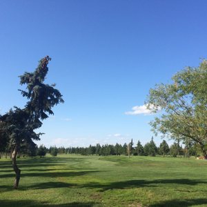 RUNDLE PARK GOLF COURSE - Updated May 2025 - 18 Photos - 2902 118 ...