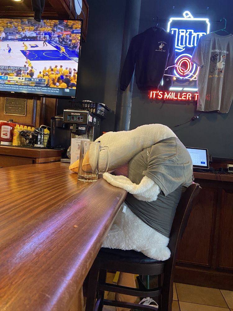 SOCIAL GOOSE BAR - Updated September 2025 - 27 Photos - 94 Maine St ...