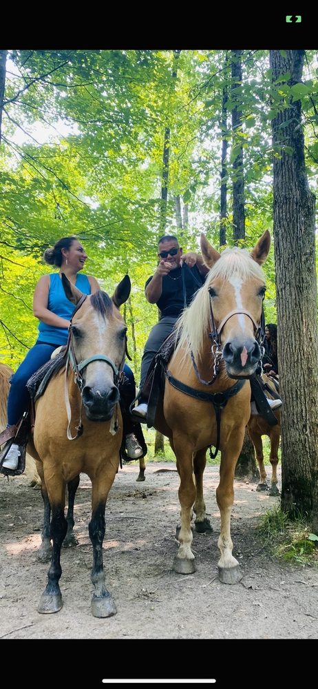 PINE RIVER STABLES - Updated August 2025 - 22 Photos & 21 Reviews ...