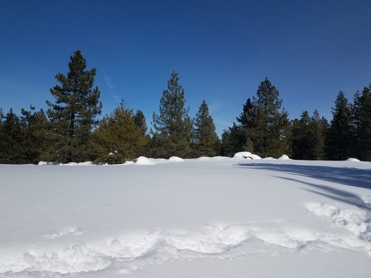 ELDORADO NATIONAL FOREST - 171 Photos & 25 Reviews - 100 Forni Rd ...