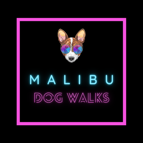 MALIBU DOG WALKS - Updated May 2024 - Malibu, California - Dog Walkers ...