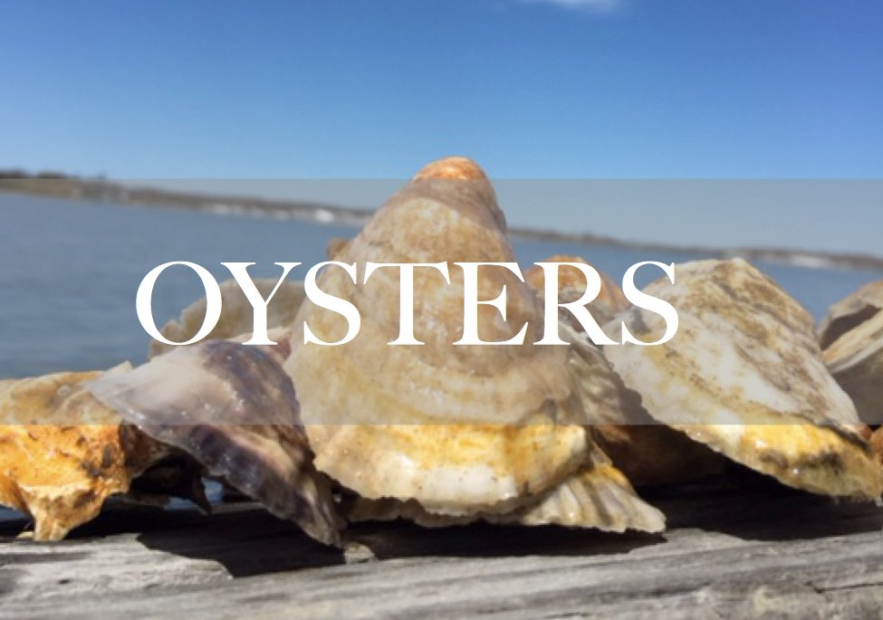 SOUTHOLD BAY OYSTERS - Updated May 2026 - 10 Photos - 10273 N Bayview ...