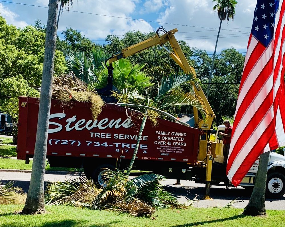 STEVENS TREE SERVICE - Updated July 2025 - 10 Photos & 33 Reviews - 1334 Spalding Rd, Dunedin ...