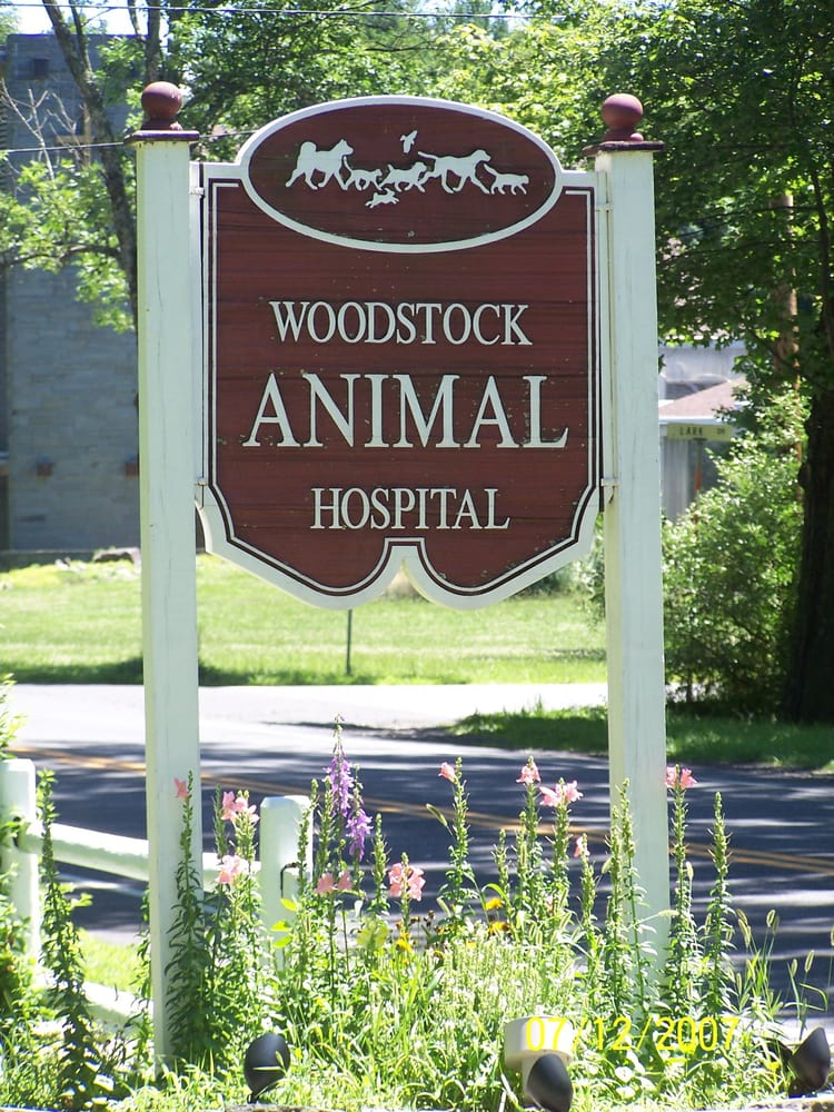 WOODSTOCK ANIMAL HOSPITAL - Updated October 2025 - 13 Reviews - 240 ...