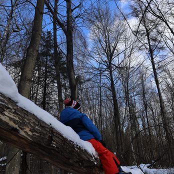 PINHEY FOREST - Updated March 2025 - 1701 Woodroffe Avenue, Ottawa ...