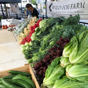 ALLENTOWN FAIRGROUNDS FARMERS MARKET - Updated July 2024 - 129 Photos ...