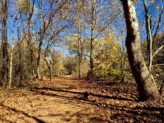 RIVERVIEW PARK - Updated August 2025 - 19 Photos & 11 Reviews ...