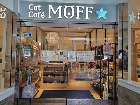 CAT CAFÉ MOFF - Updated October 2025 - 165 Photos & 34 Reviews - 1450 Ala Moana Blvd, Honolulu ...