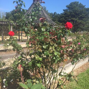 THE BOTANIC GARDEN AT INDEPENDENCE PARK - Updated November 2025 - 58 ...