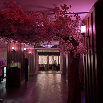 SILVER LYAN - Updated December 2024 - 443 Photos & 165 Reviews - 900 F ...