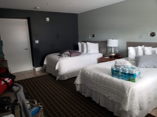 BLUE MARLIN MOTEL - 65 Photos & 63 Reviews - 1320 Simonton St, Key West ...