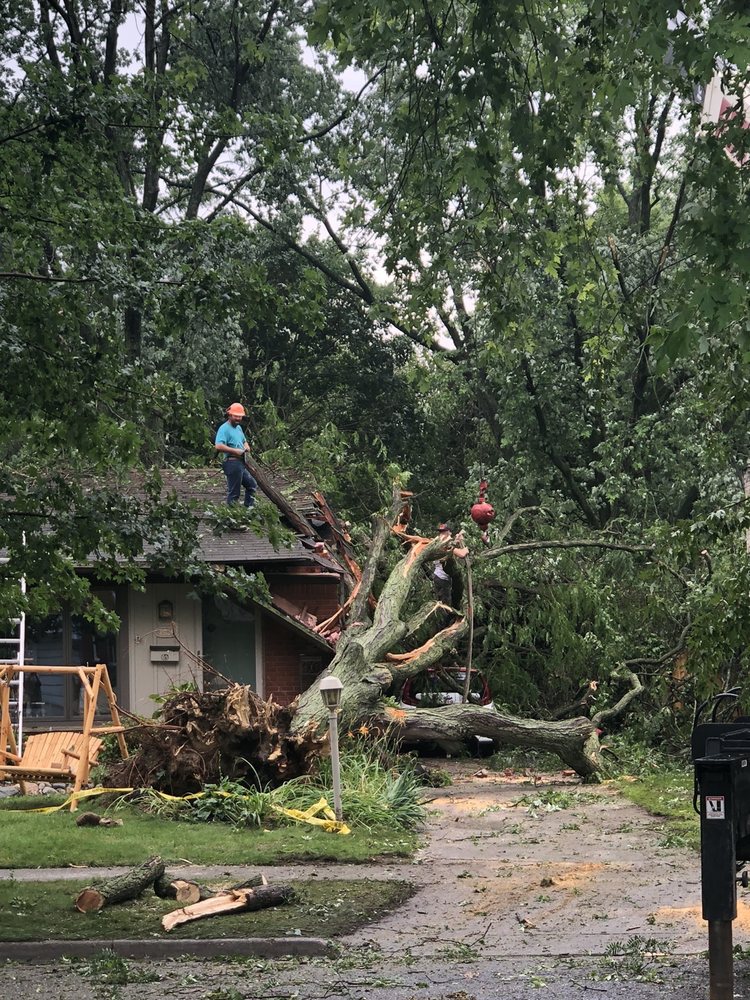 HORTON’S TREE SERVICE - 18 Reviews - Tree Services - 30709 John Hauk St ...