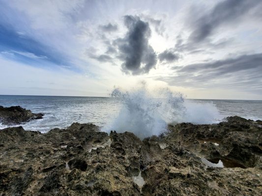 ZABLAN - Updated January 2026 - 39 Photos & 14 Reviews - 89-49 Laumania ...