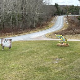 ANNIE’S RUFF CUT - Updated July 2025 - 70 Photos & 51 Reviews - 90 ...