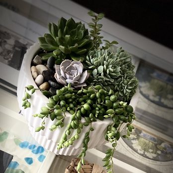 ISAAC FARMS - 451 Photos & 105 Reviews - 18800 SW 177th Ave, Miami ...