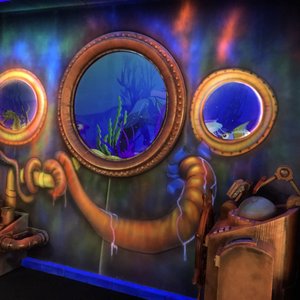 REGAL SWAMP FOX - Updated February 2025 - 78 Photos & 27 Reviews - 3400 ...